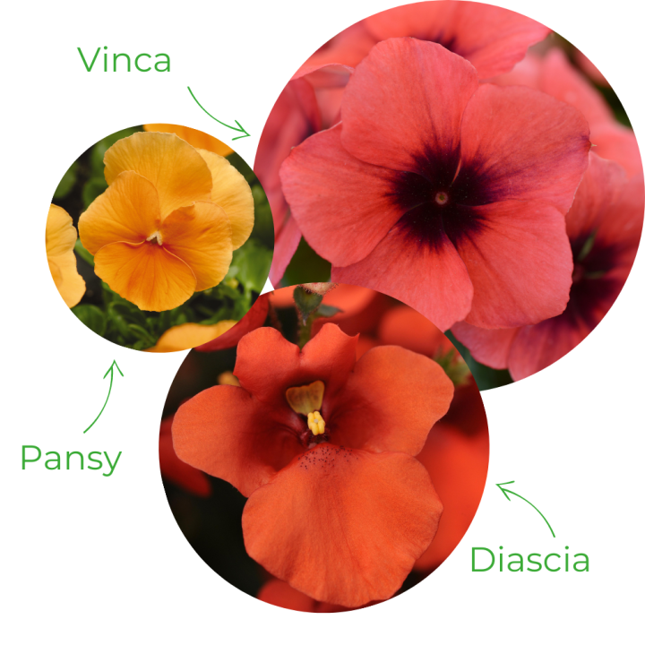 Communities in Bloom - About us - Garden Centres Canada
