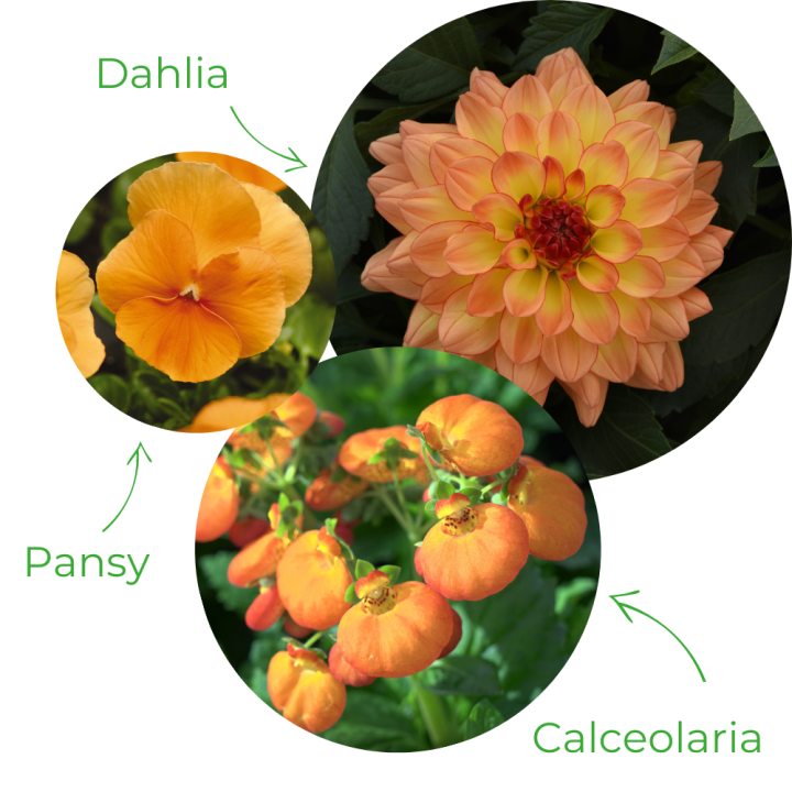 Communities in Bloom - About us - Garden Centres Canada